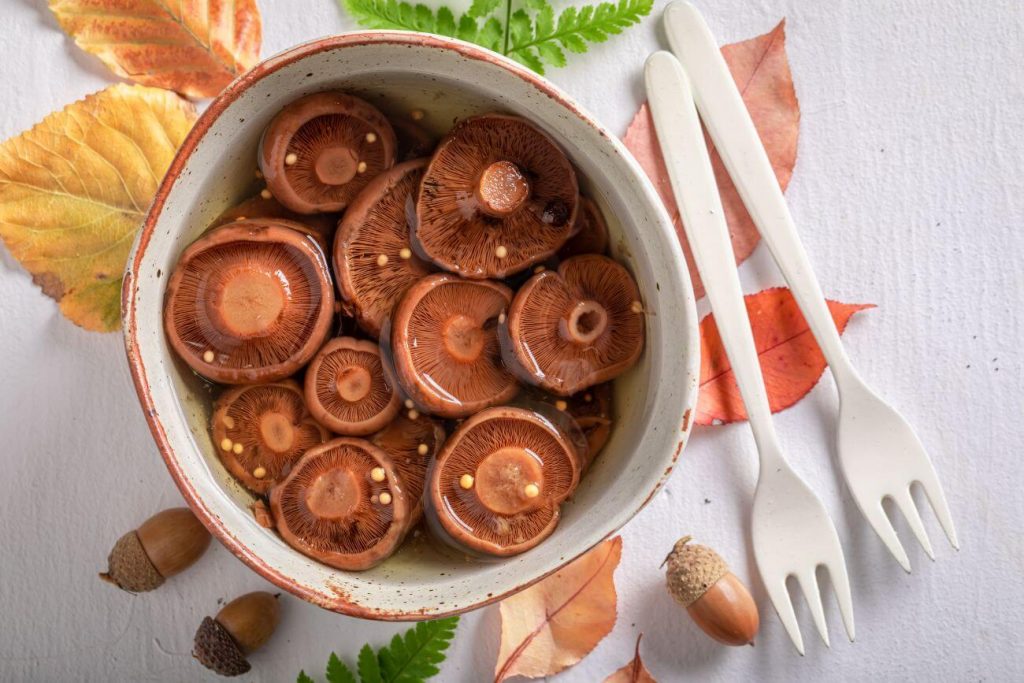 Rydze marynowane – jak marynować te grzyby? | GłodnaPolka